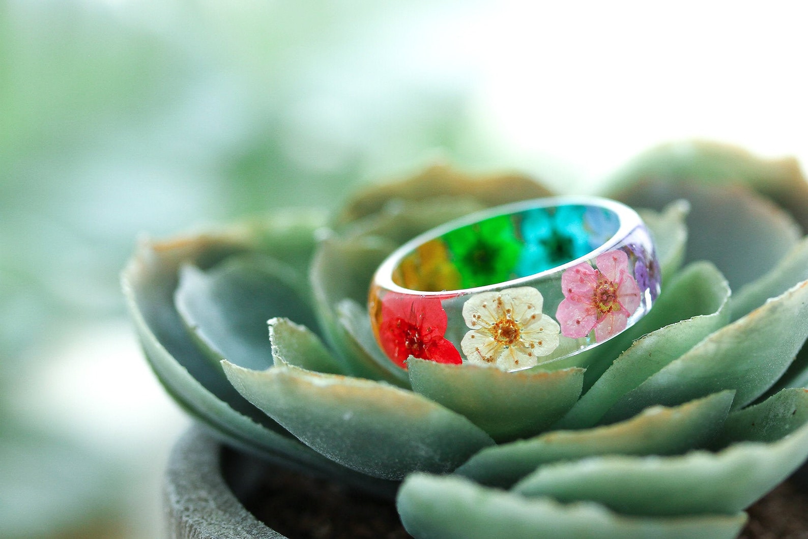 Real Flower Ring / Rainbow Blossom / Pressed Flower Jewelry / Gifts for ...