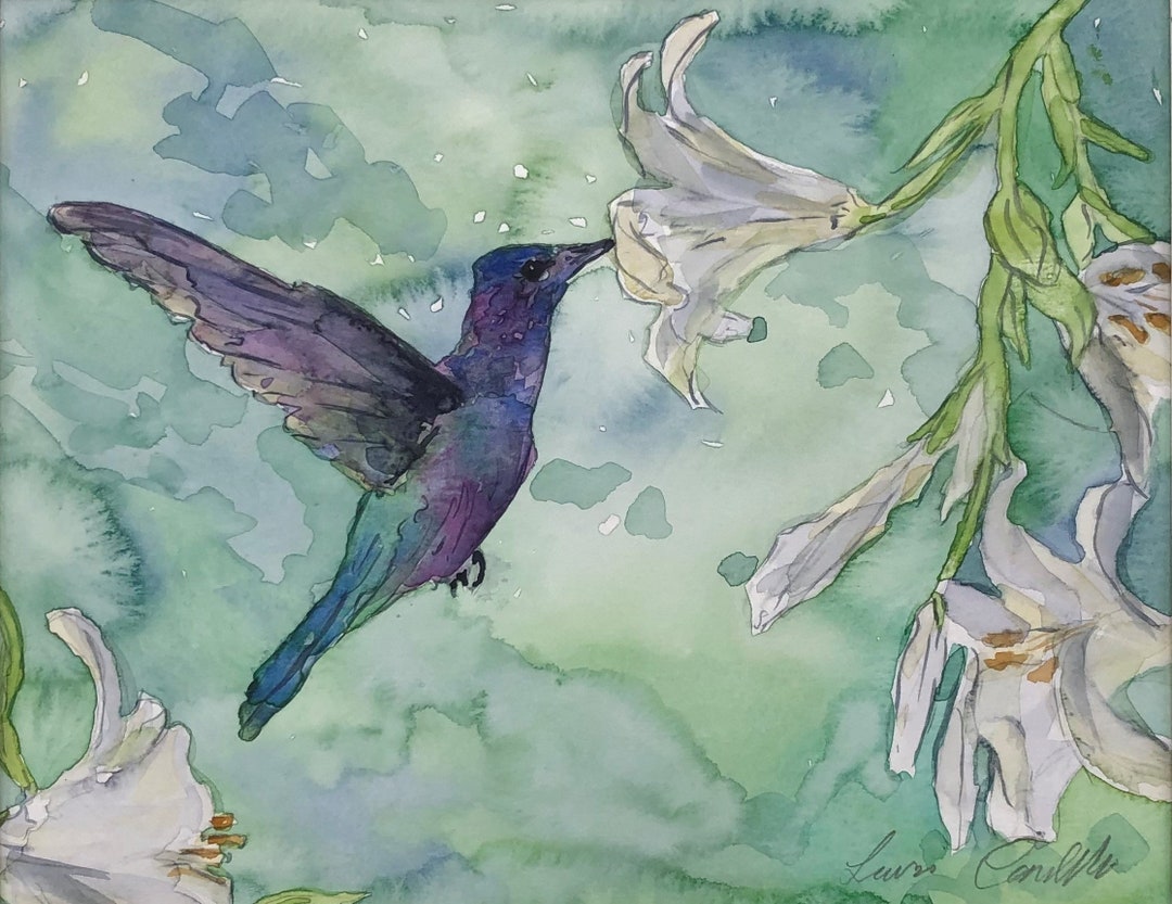 Hummingbird Fine Art Print or Cards - Etsy