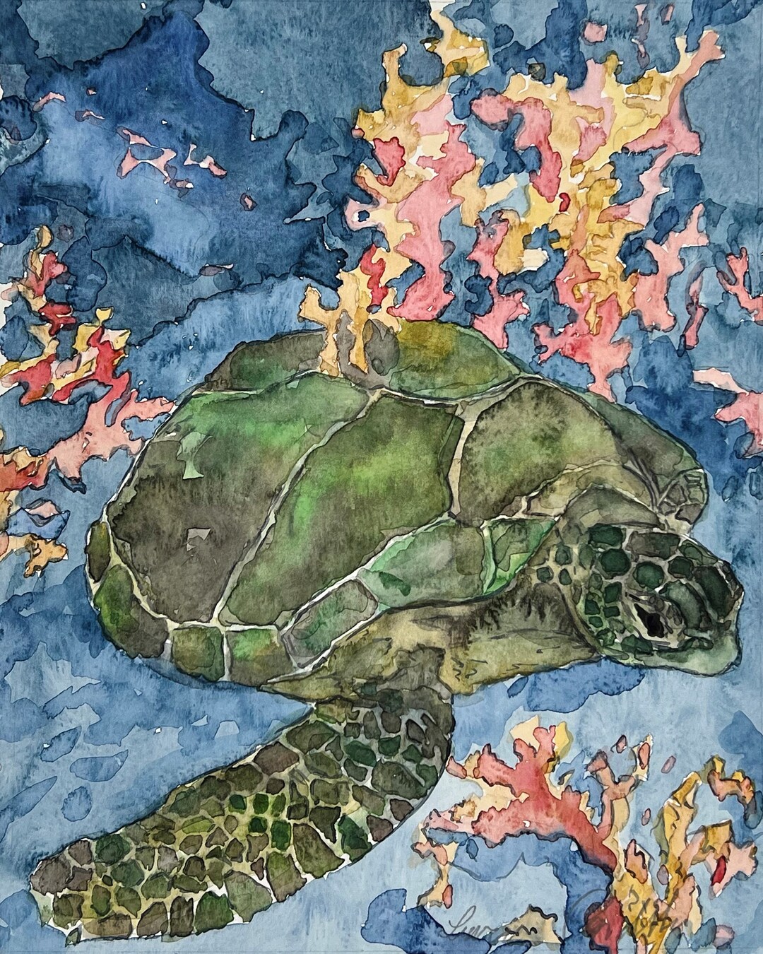 Sea Turtle Fine Art Print or Cards - Etsy