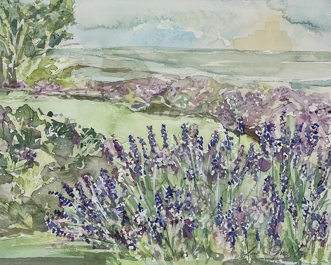 Lavender Fields Fine Art Print or Cards - Etsy