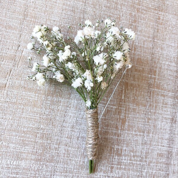 Dried Babys Breath - Etsy
