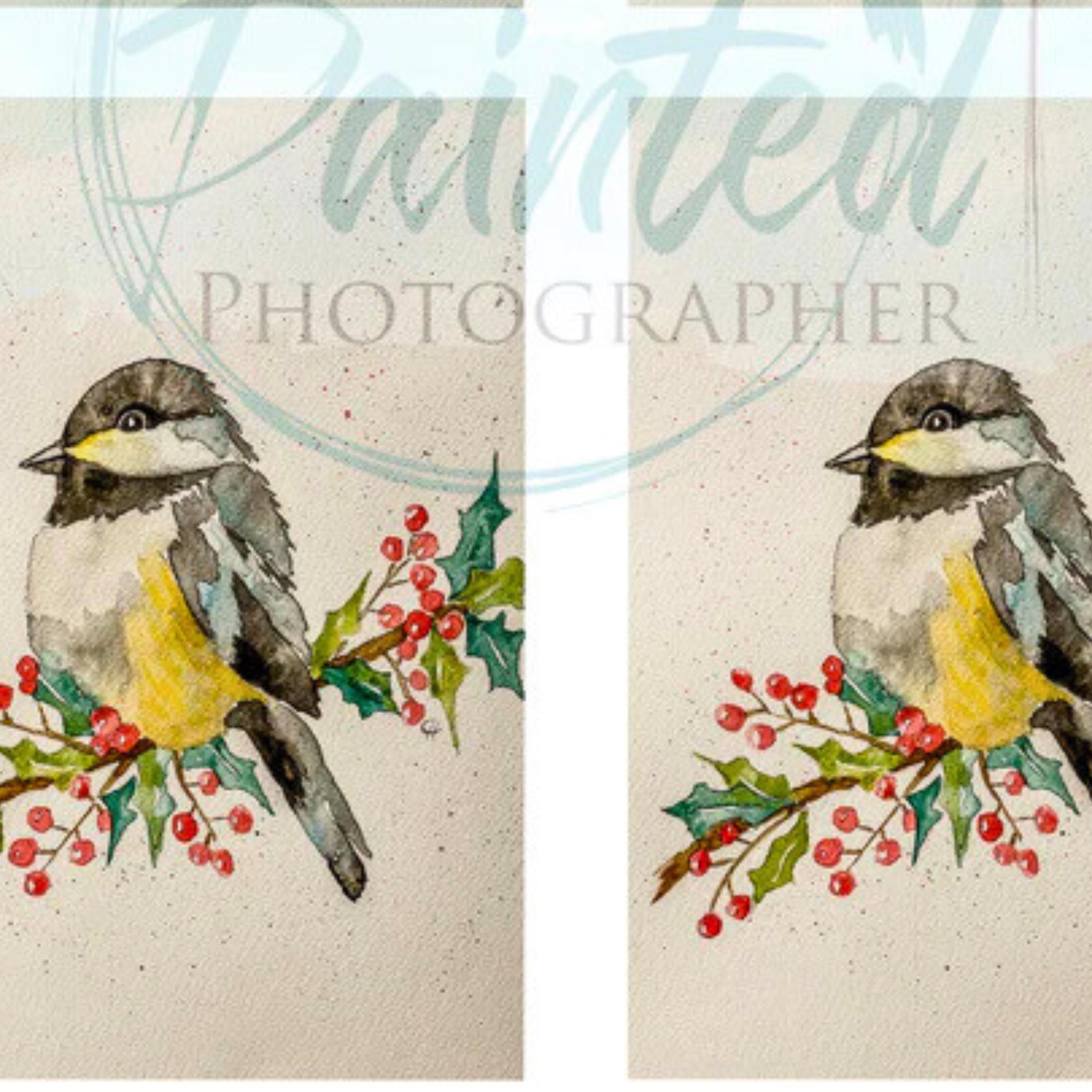Merry Tweet Mis Watercolor Multiples Decoupage Rice Paper | Art Print ...