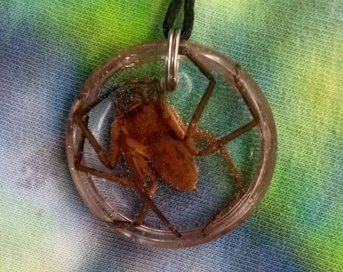 Majestic Spider Resin Necklace - Etsy