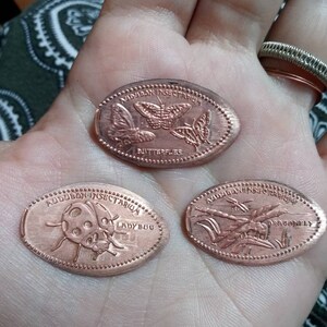 Pressed Penny Pins - Etsy
