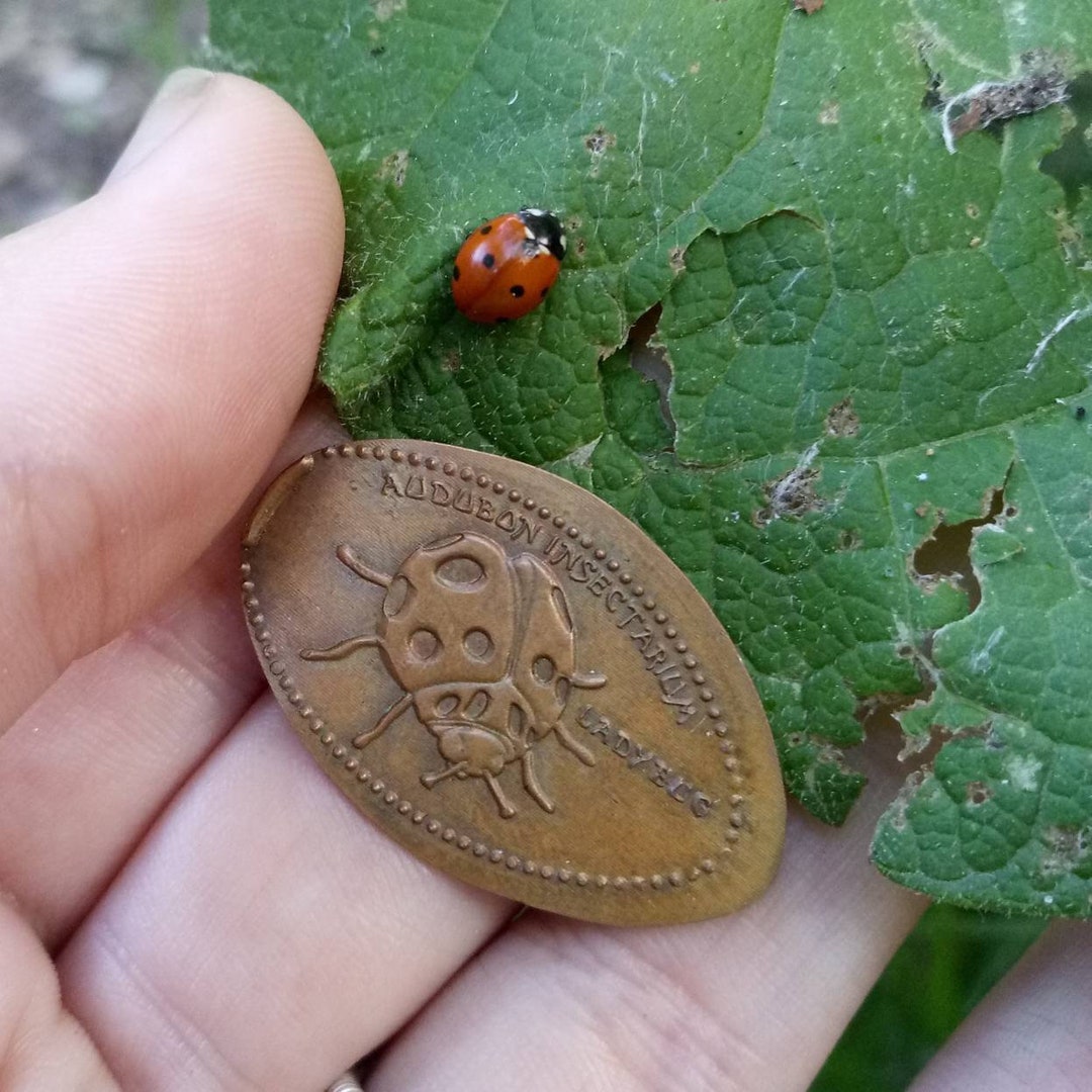 Pressed Penny Pins - Etsy