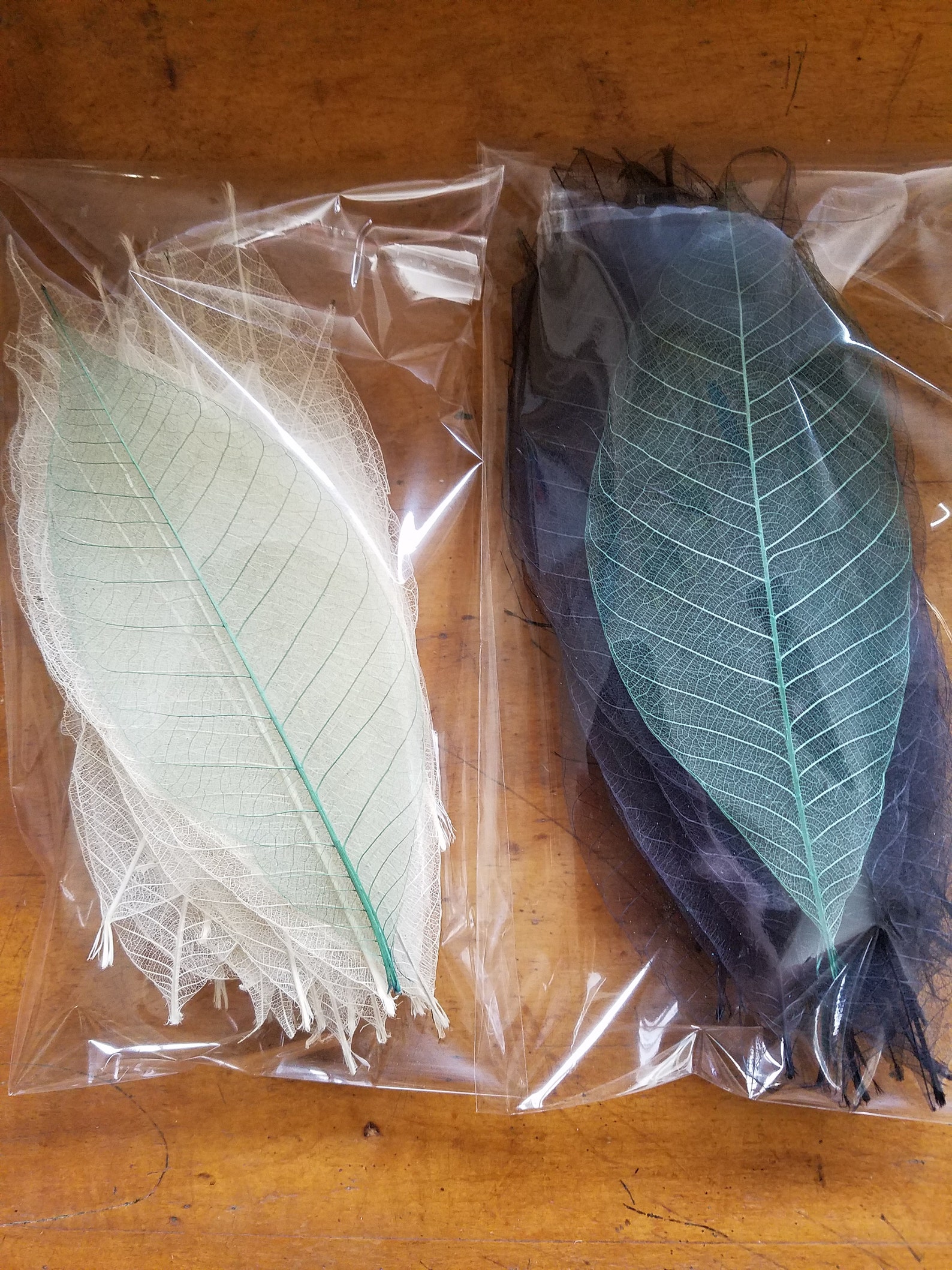 Door Prize Drawing Set of Leaves - Etsy