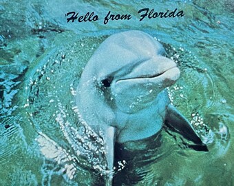 Hello From Florida - Etsy
