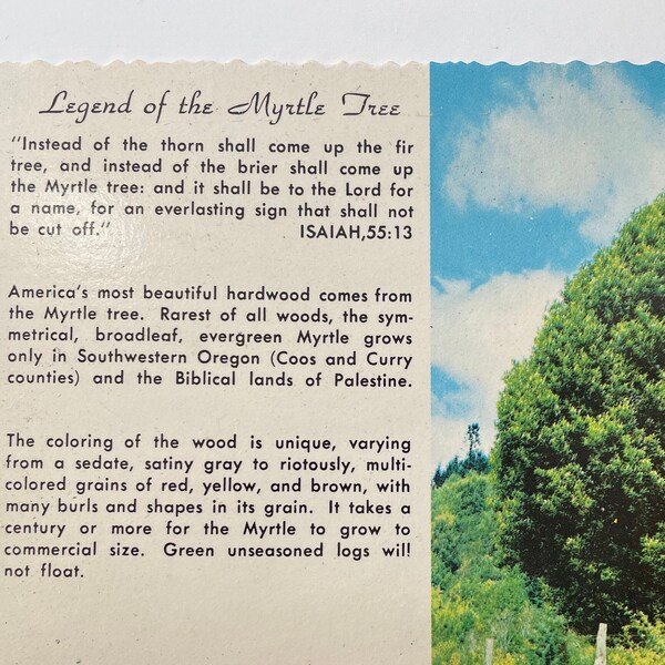 Myrtle Tree - Etsy