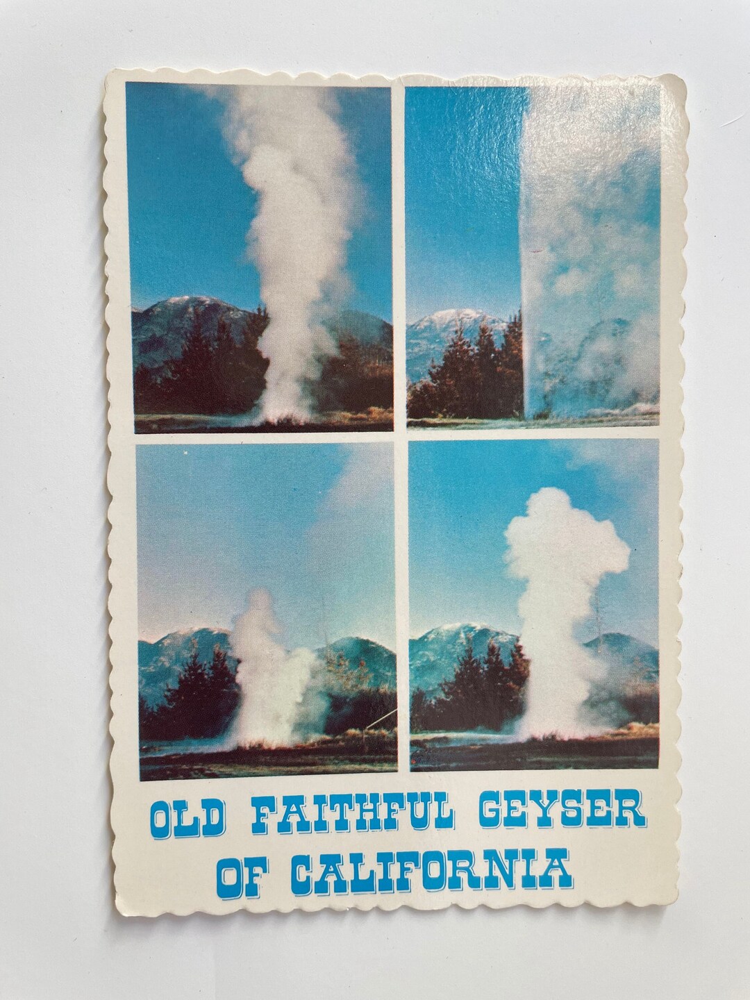 Old Faithful Geyser, Calistoga, California, Vintage Postcard - Etsy