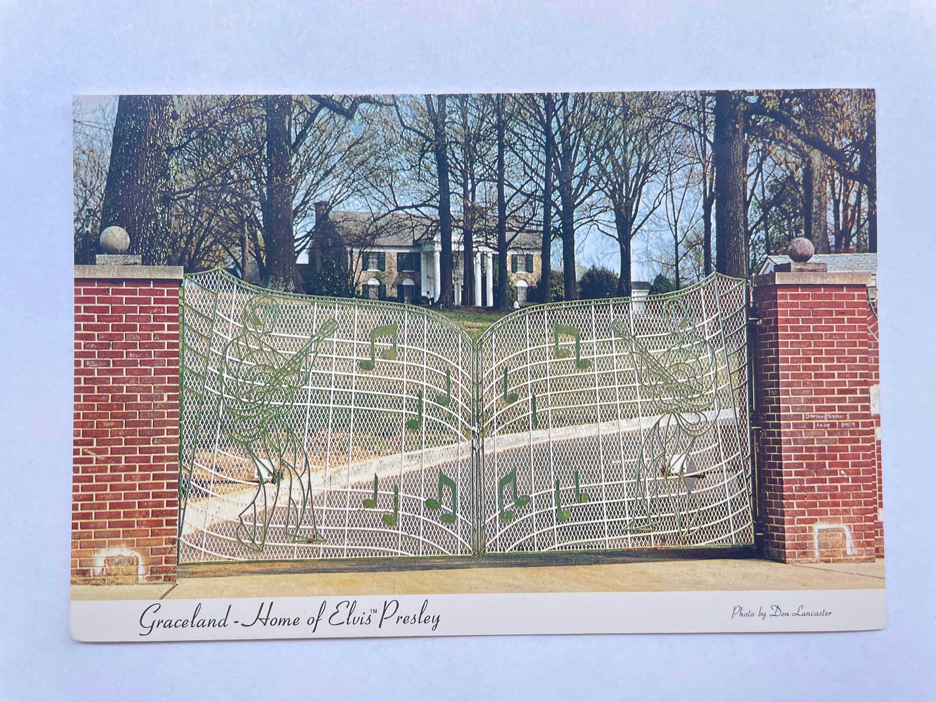 Elvis At Graceland Gates