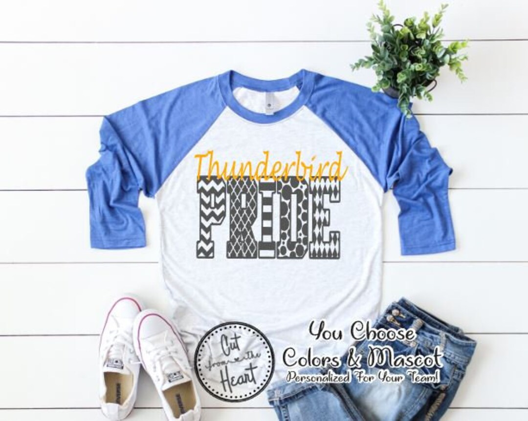 School Spirit Wear, School Pride T-shirt, Back to School, Teacher Team ...