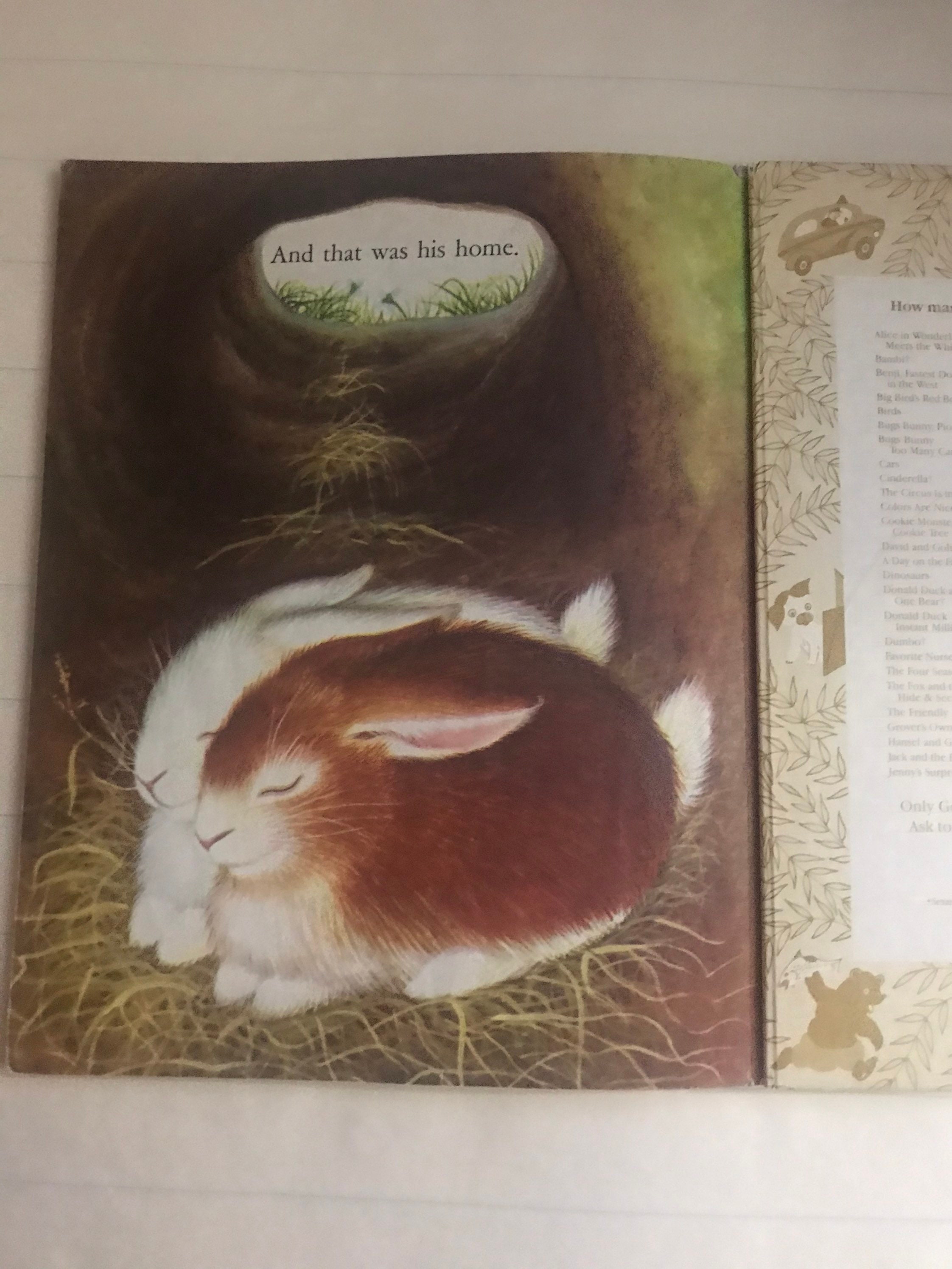 1961 Home for A Bunny Children's Book Springtime Easter Time Rabbits ...