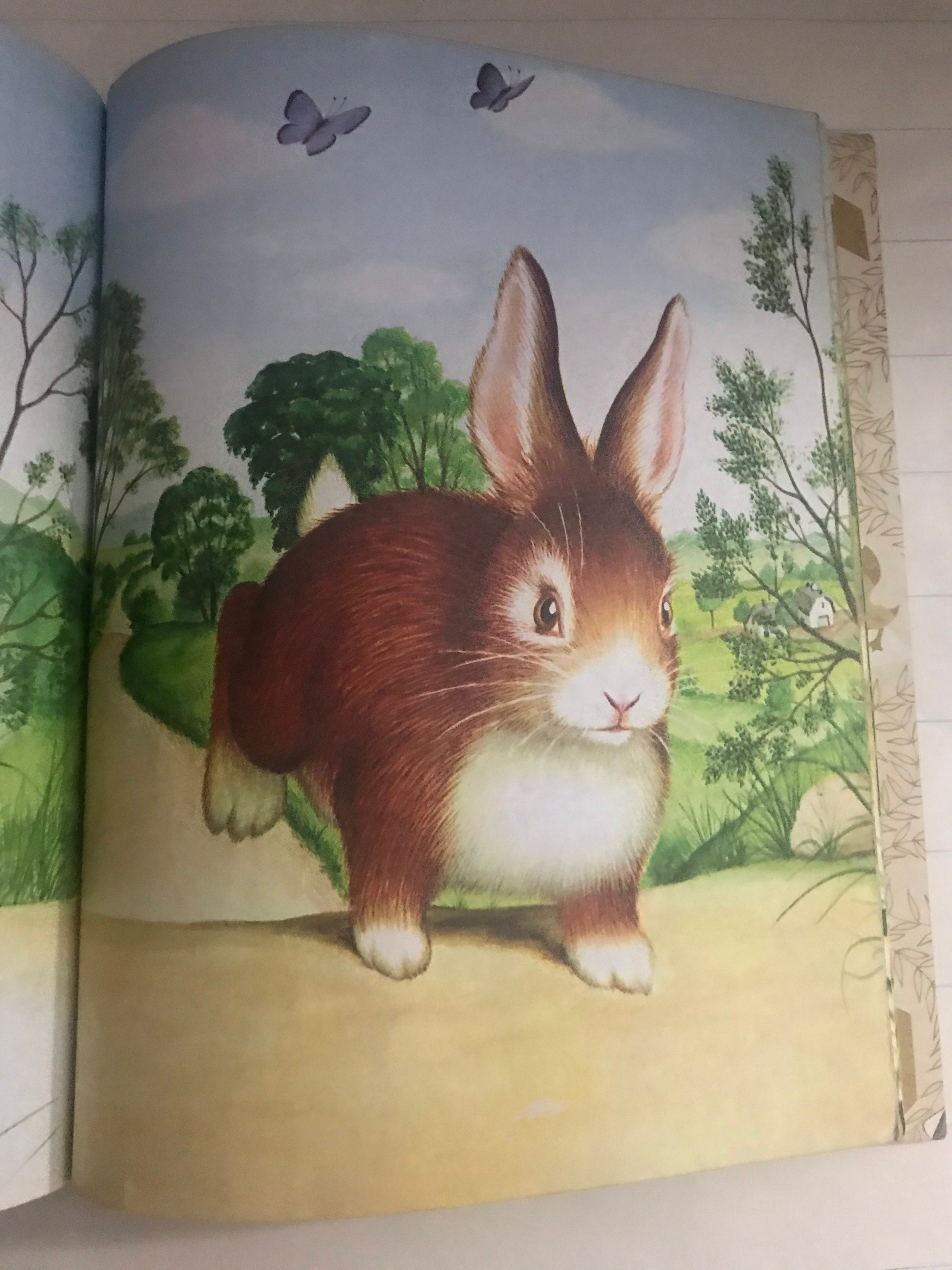 1961 Home for A Bunny Children's Book Springtime Easter Time Rabbits ...