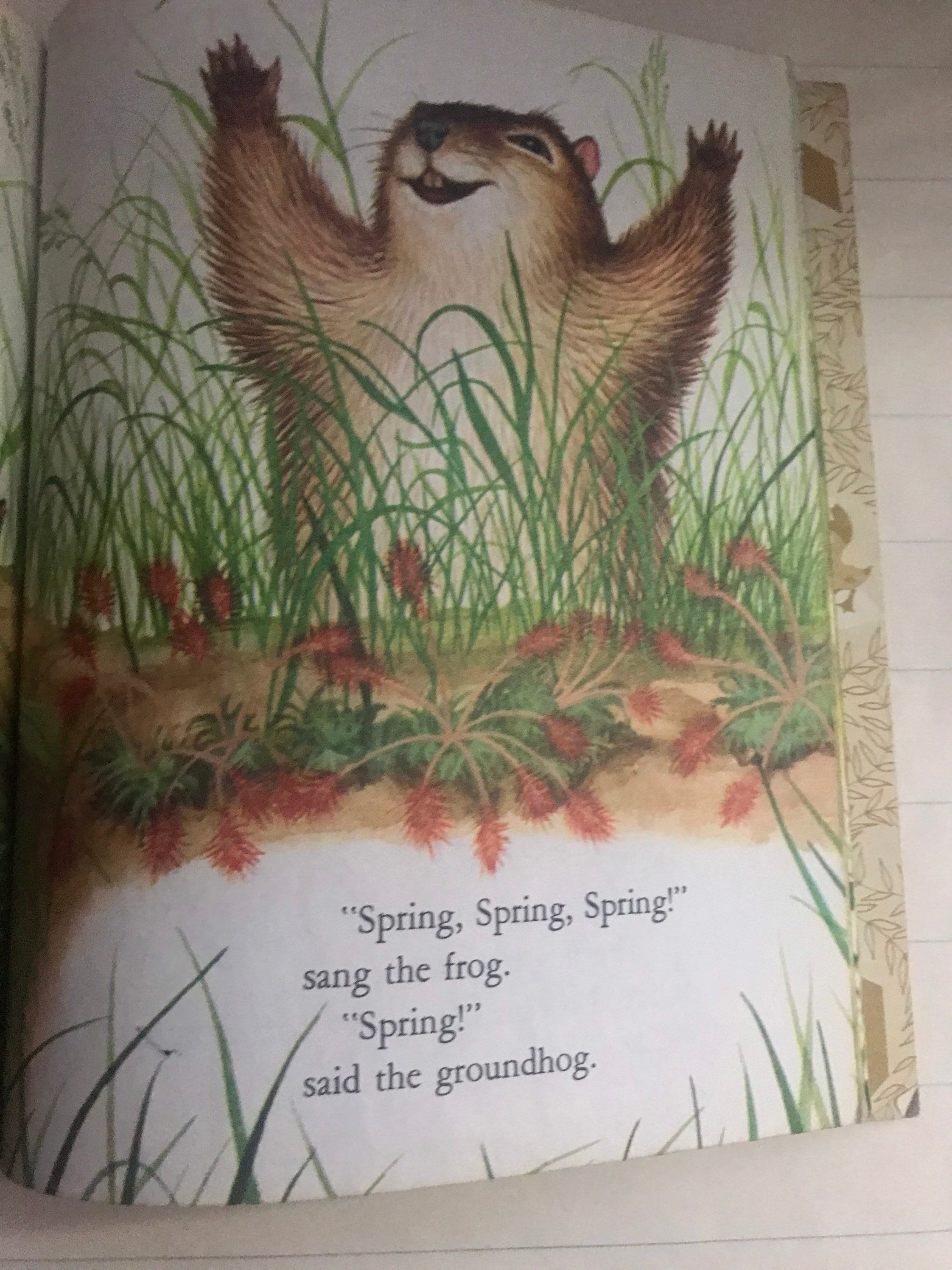 1961 Home for A Bunny Children's Book Springtime Easter Time Rabbits ...