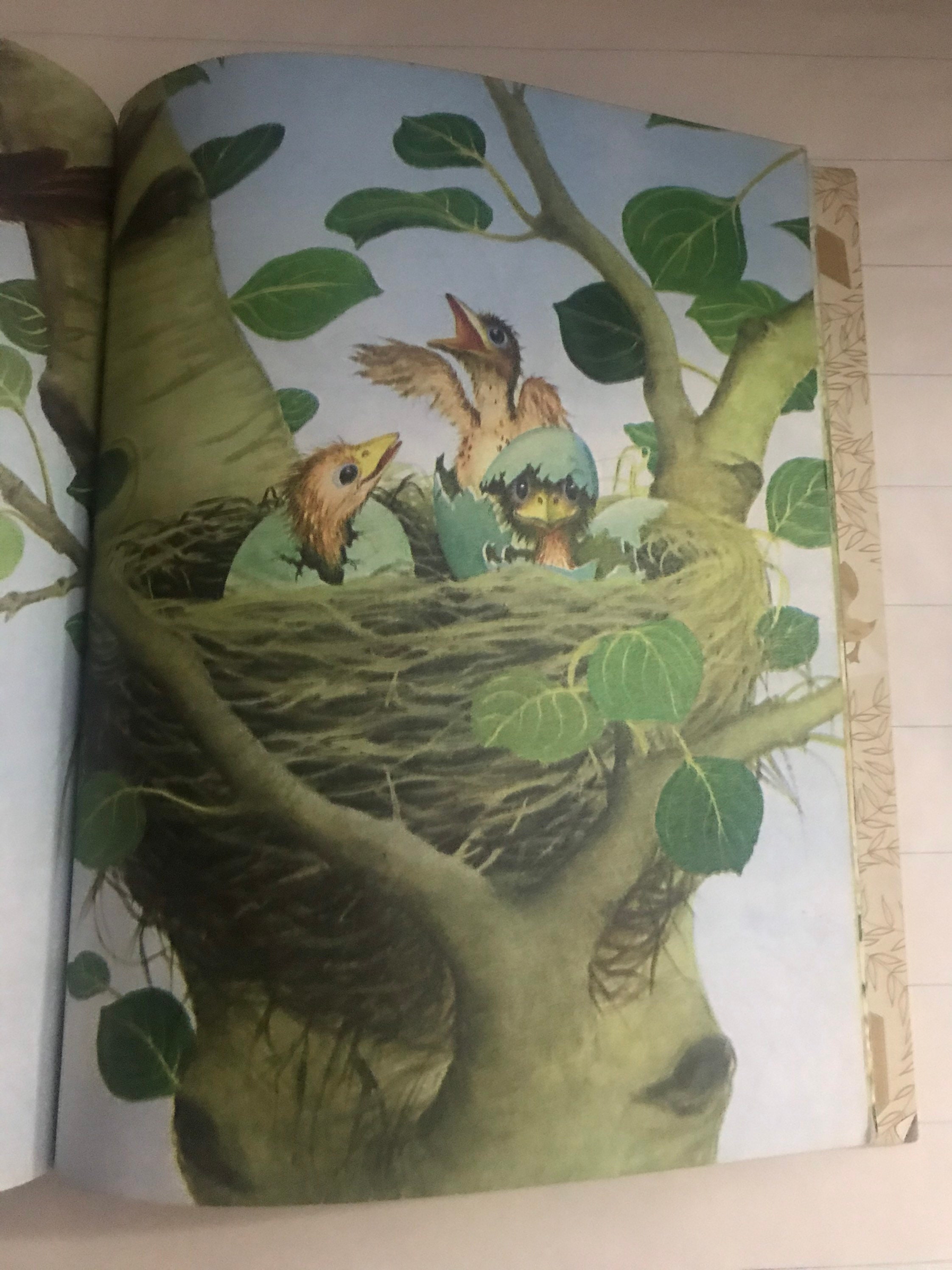 1961 Home for A Bunny Children's Book Springtime Easter Time Rabbits ...