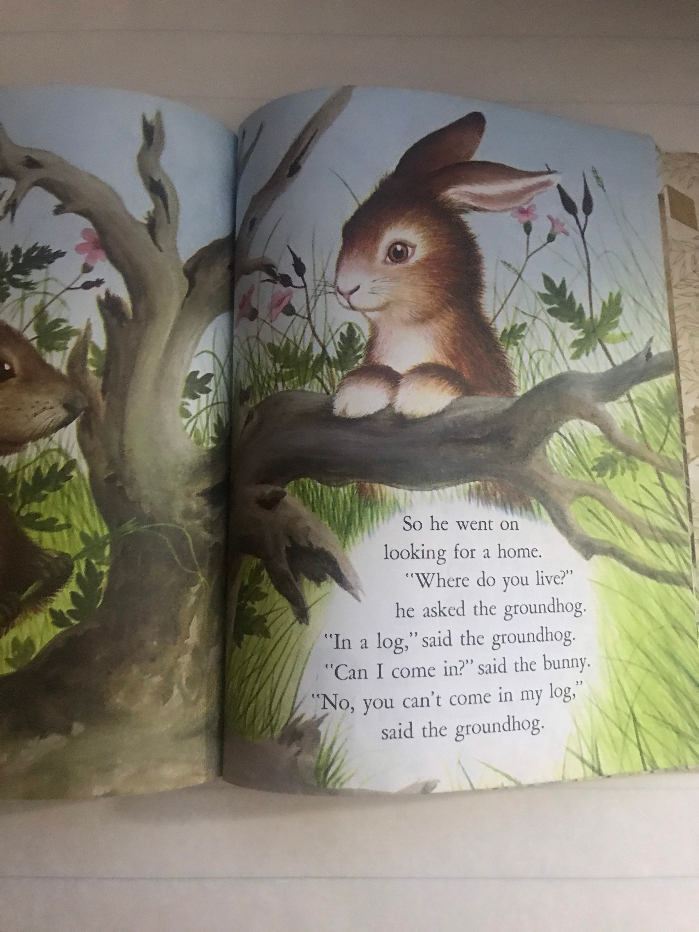 1961 Home for A Bunny Children's Book Springtime Easter Time Rabbits ...