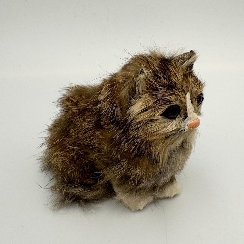 Realistic Lifelike Kitten - Etsy