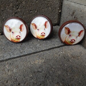 PIG Drawer Pull Wood & Glass Knob ~ Country Farm Dairy Animal Knob ...