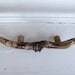 Deer Elk ANTLERS ANTLER Handle Drawer Pull Knob Cabinet Rustic Animal ...