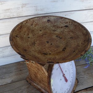 Decorative Rustic Scale Kitchen 22lb Culinary Vintage Inspired Home ...