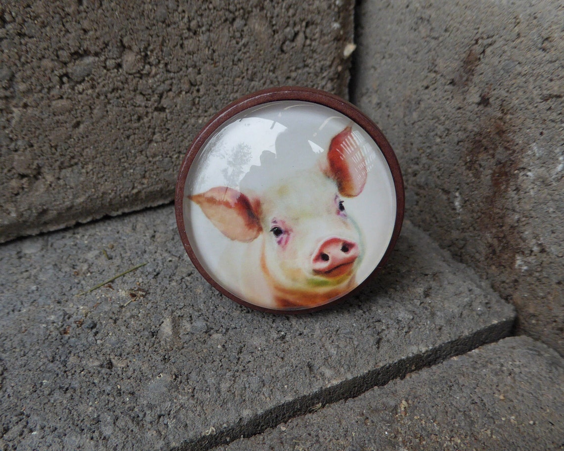 PIG Drawer Pull Wood & Glass Knob ~ Country Farm Dairy Animal Knob ...