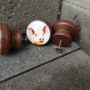 PIG Drawer Pull Wood & Glass Knob ~ Country Farm Dairy Animal Knob ...