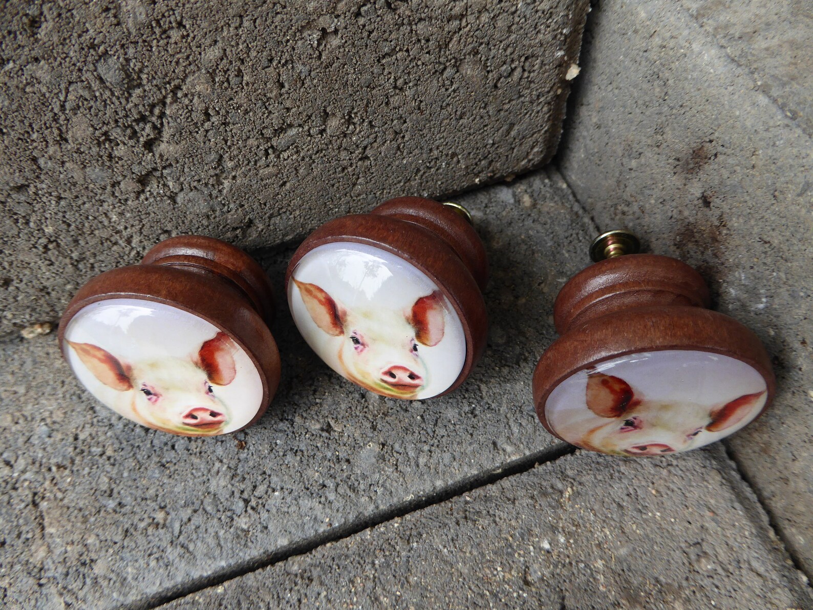 PIG Drawer Pull Wood & Glass Knob ~ Country Farm Dairy Animal Knob ...