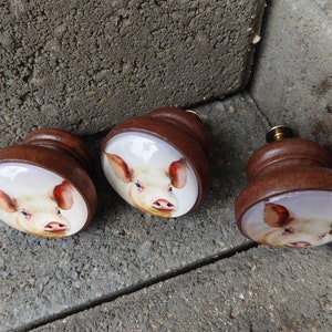 PIG Drawer Pull Wood & Glass Knob ~ Country Farm Dairy Animal Knob ...