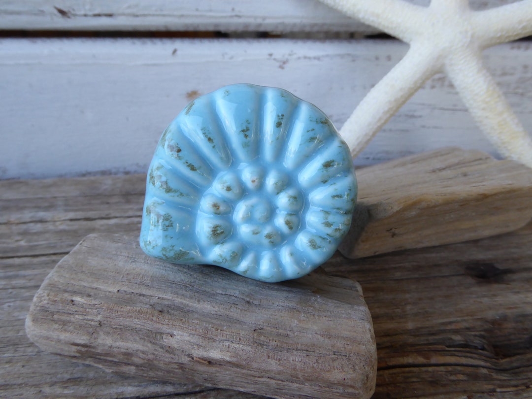 Rustic Sea Light Blue CONCH Nautilus SHELL Decorative Dresser Drawer ...