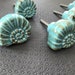 Rustic Sea Light Blue CONCH Nautilus SHELL Decorative Dresser - Etsy