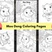Moo Deng Coloring Pages, 14 Printable Pages, Letter Size, Cute Baby ...