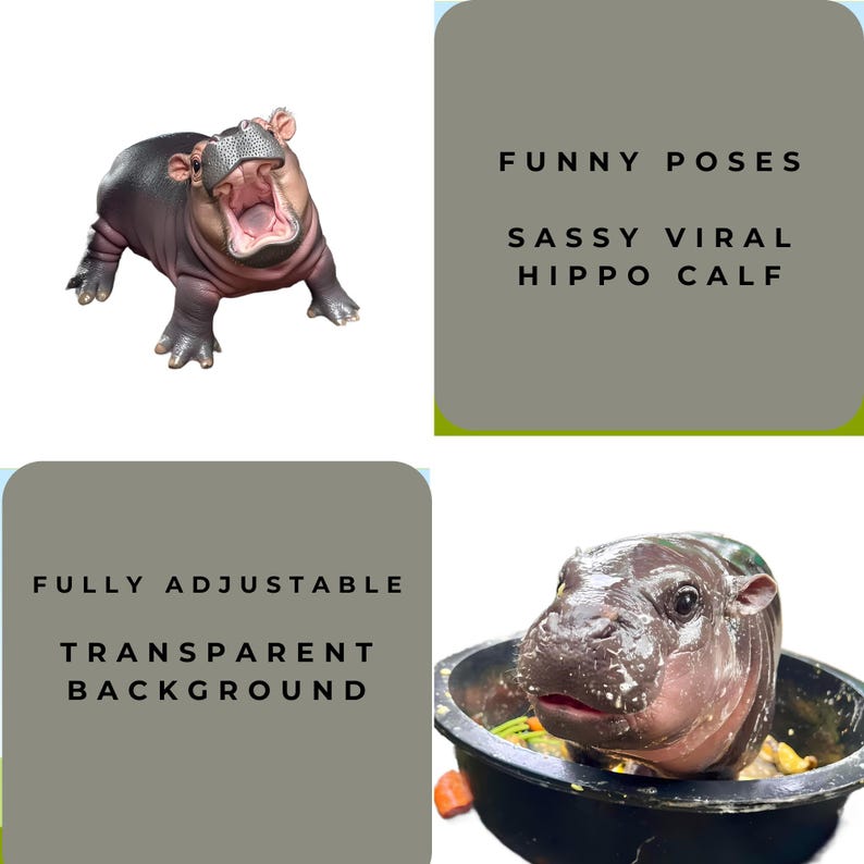 Moo Deng Clipart, 14 Moo Dang PNG, Moody Baby Hippo, Funny Meme Design ...