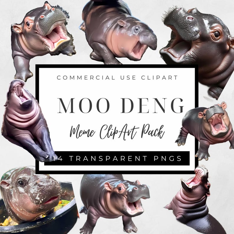 Moo Deng Clipart, 14 Moo Dang PNG, Moody Baby Hippo, Funny Meme Design ...
