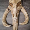 Aqualish Mask (ponda Baba,walrus Man) Silicone Mask - Etsy