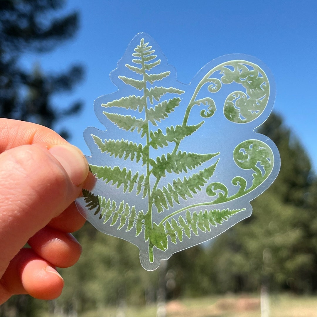 Fern Sticker, Green Watercolor Sticker, Watercolor Fern Sticker, Clear ...