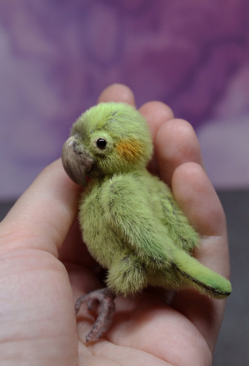 Macaw Miniature Doll Parrot Figurine Soft Toy Ooak Doll | Etsy