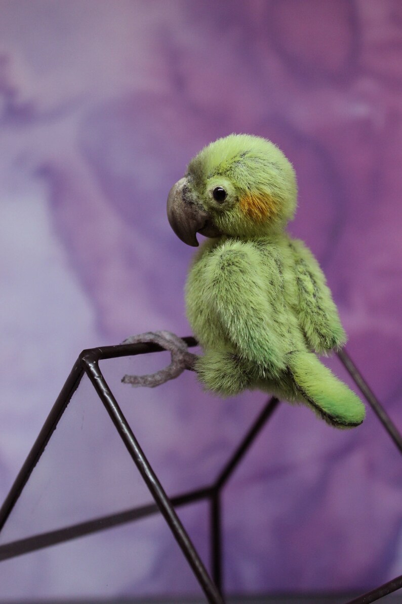 Macaw Miniature Doll Parrot Figurine Soft Toy Ooak Doll | Etsy
