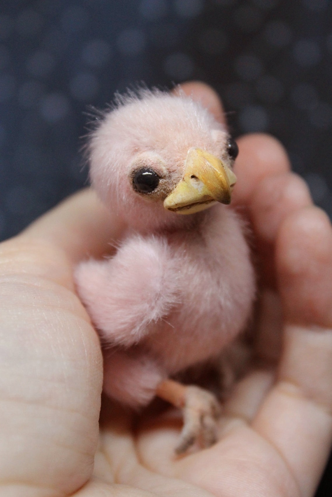 Phoenix art doll Interior Stuffed bird Realistic toy Soft toy | Etsy