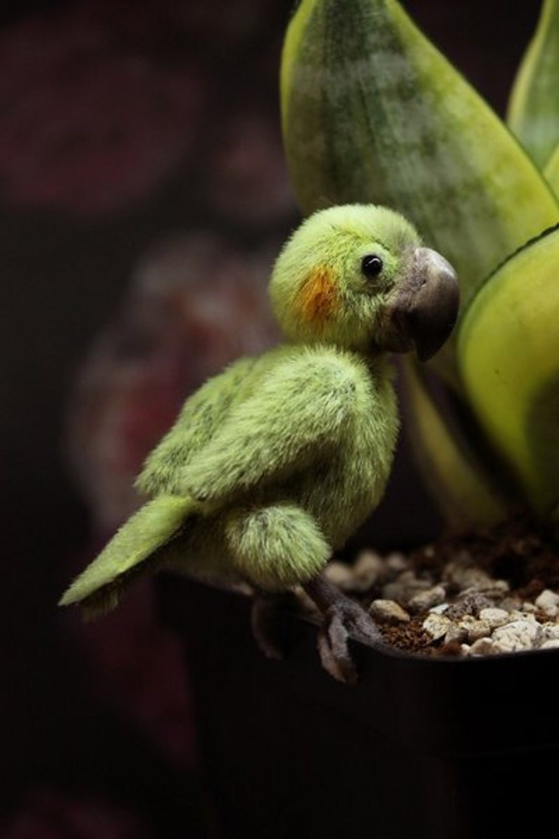 Macaw Miniature Doll Parrot Figurine Soft Toy Ooak Doll | Etsy