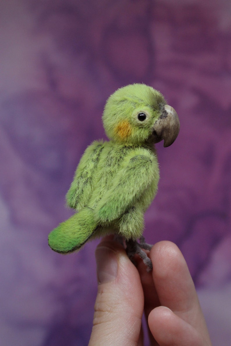 Macaw Miniature Doll Parrot Figurine Soft Toy Ooak Doll | Etsy