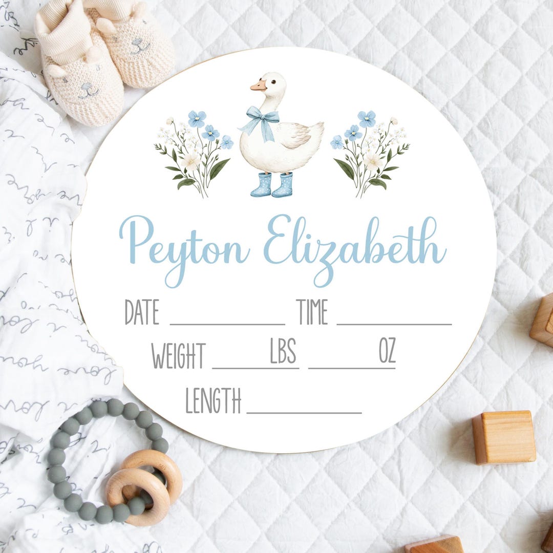 PERSONALIZED BLUE GOOSE Birth Stats Sign, Goose Baby Girl Gift, Baby ...