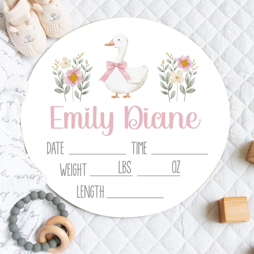 BABY GIRL PINK Goose Birth Stat Sign, Baby Girl Birth Announcement ...