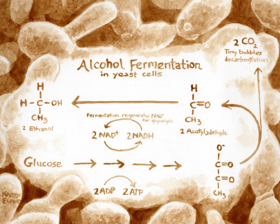 Beer Art, Fermentation of Yeast, Painted With Beer, Bar Art, Pub Decor ...