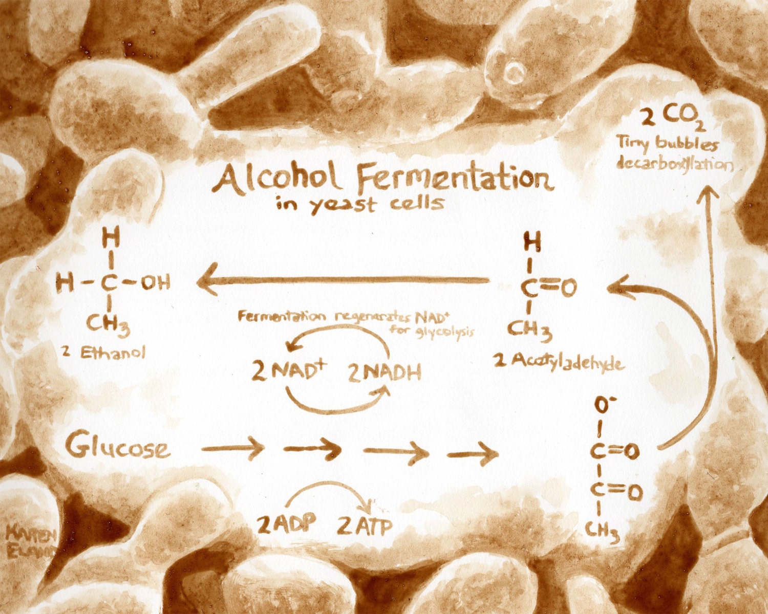 Beer Art Fermentation of Yeast Painted With Beer Bar Art - Etsy