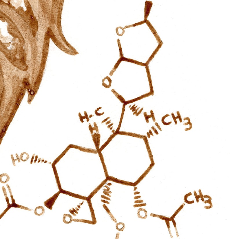 Beer Art, Lupulin Chemistry, Painted With Beer, Beer Science, Bar Art ...