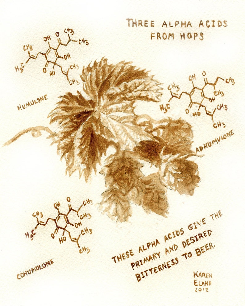 Beer Art, Hops Chemistry, Painted With Beer, Chemistry, Beer Science ...