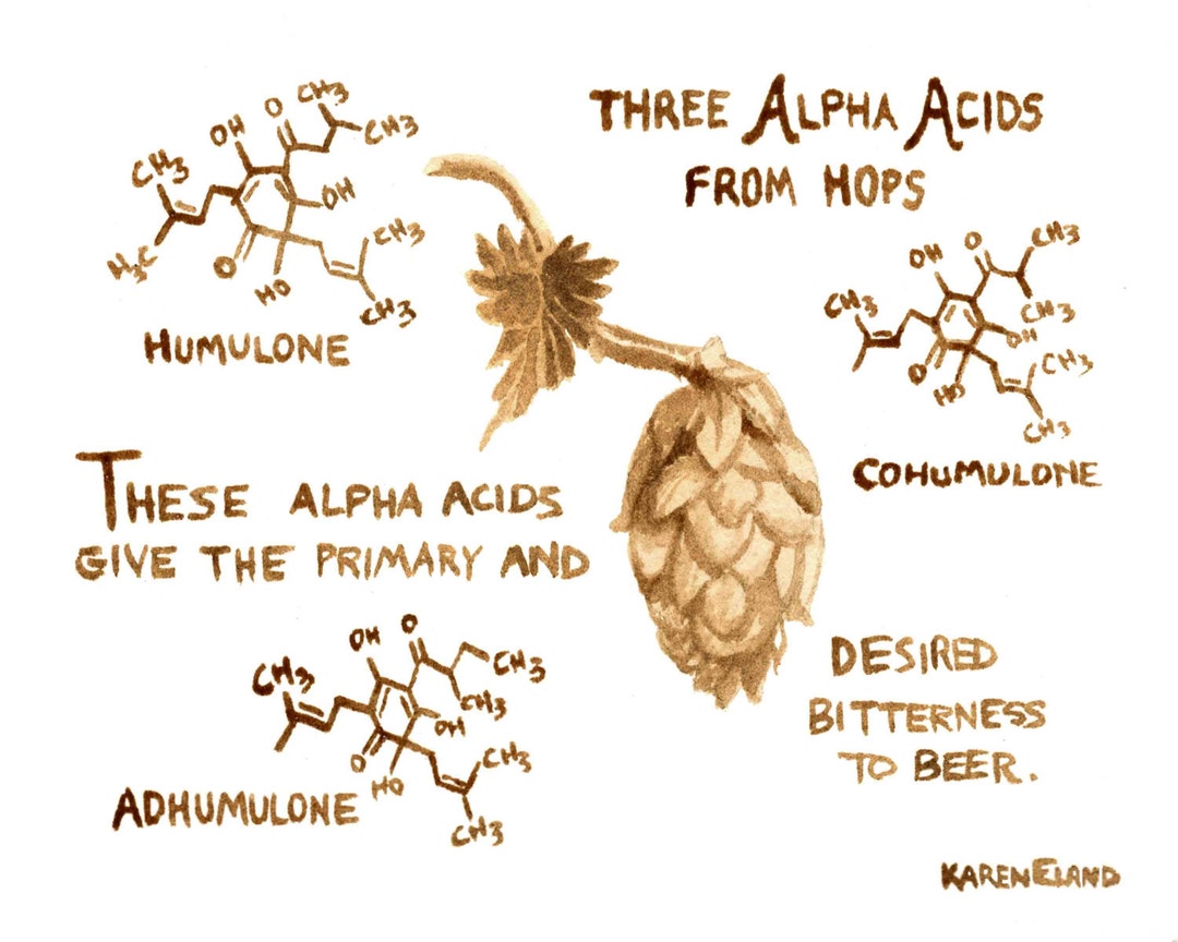 Beer Art, Alpha Acids of Hops, Painted With Beer, Chemistry, Beer Lover ...