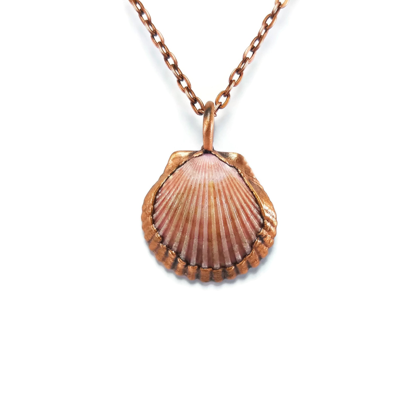 Real Seashell Necklace Seashell Pendant Sea Shell Necklace - Etsy