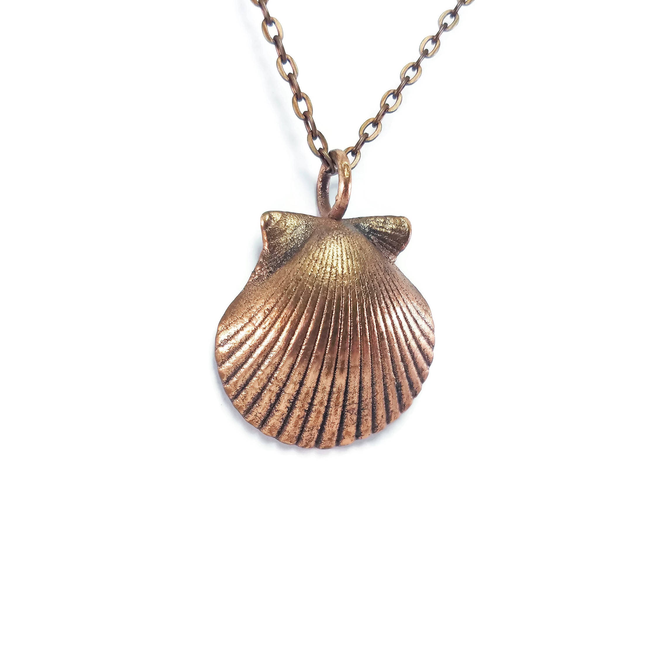 Seashell Necklace Seashell Pendant Sea Shell Necklace | Etsy