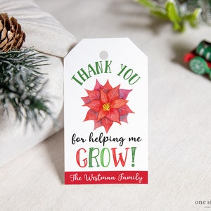 EDITABLE Poinsettia Christmas Gift Tags - House Plant Gift Tags - Plant ...